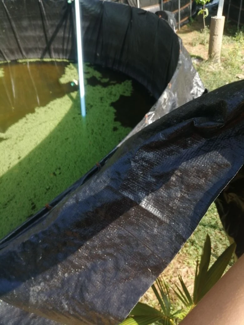 Buy 20 Mil Friendly Fish Farming Pond Liner,15 Years Usage Life ...