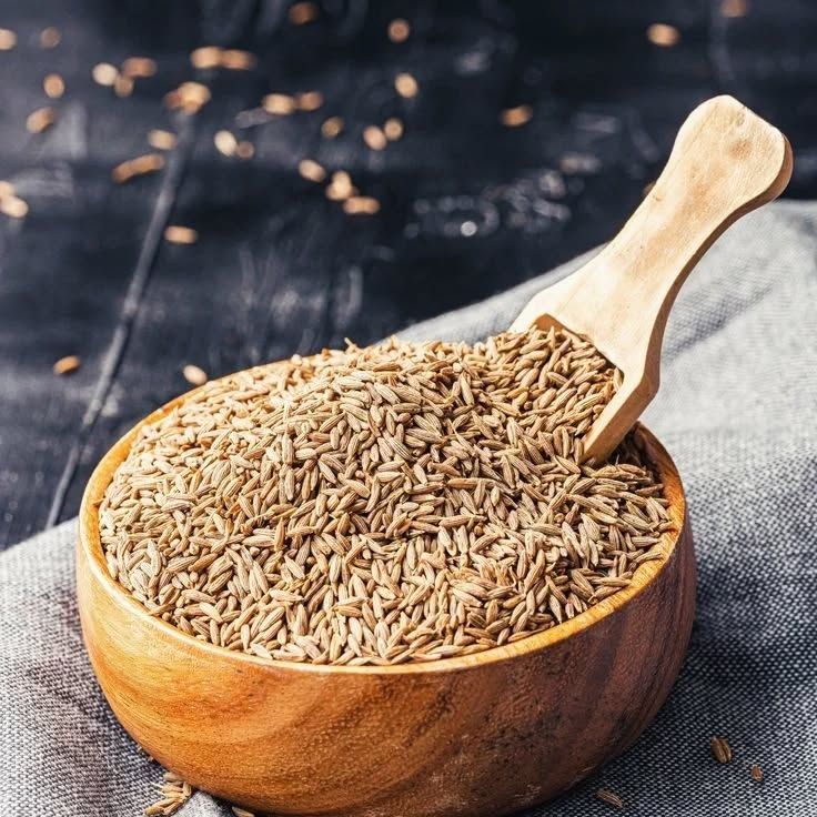 Buy Cumin Seeds from Nayol food, India | Tradewheel.com