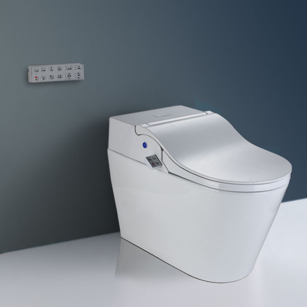 Buy Smart Bidet Toilet With Integrated Dual Flush With Remote Control ...
