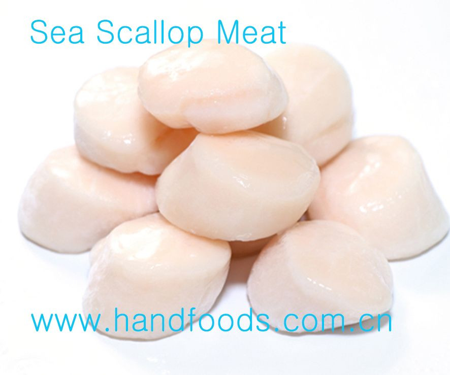 Buy Frozen Raw Sea Scallop Meat from Hand Foods (Dalian) Co., Ltd ...