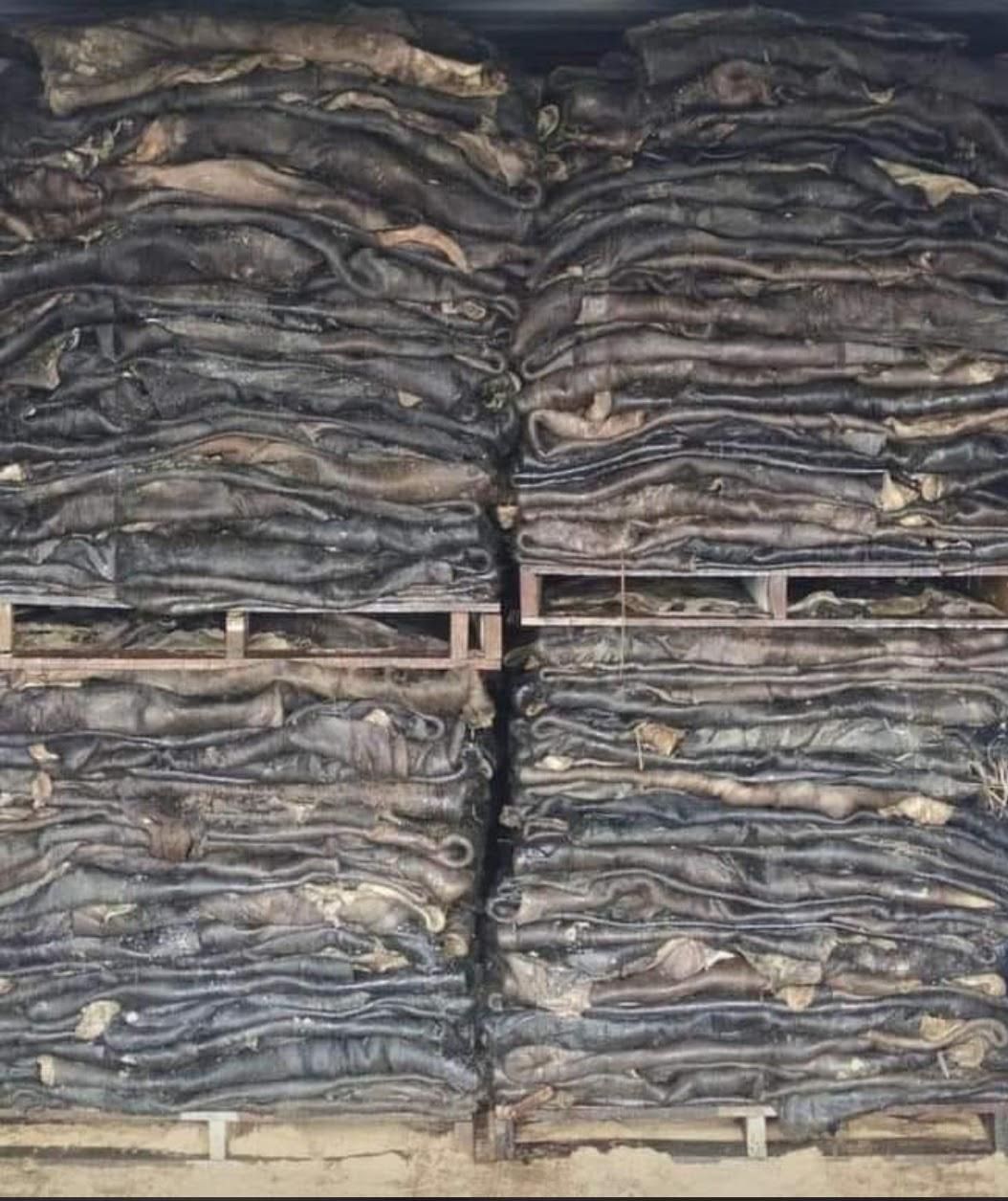 Buy Premium Raw Sun-dried Cow Hides – Clean, Durable & Export-ready ...