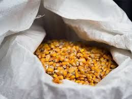 Buy Non Gmo Whole Kernel Corn from Conecto, USA | Tradewheel.com