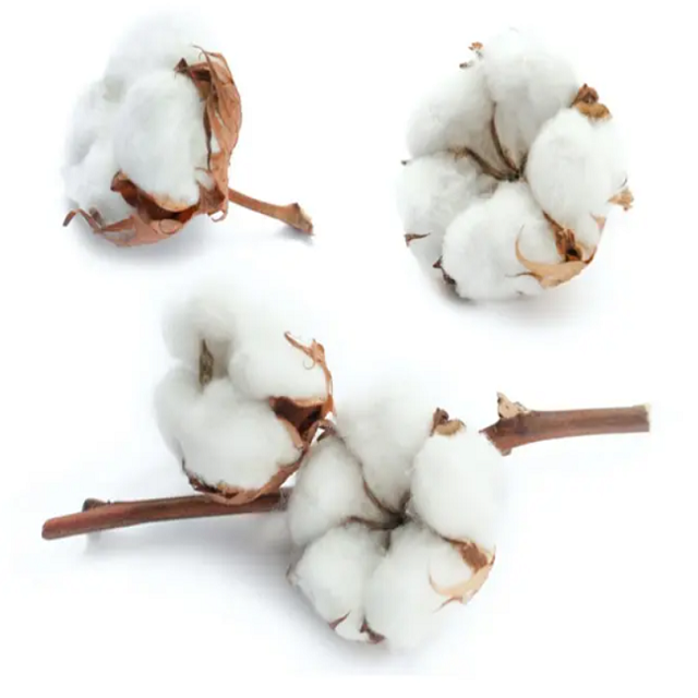 Buy 100% Recycled Cotton Fiber Waste / White Cotton Yarn Waste from ...