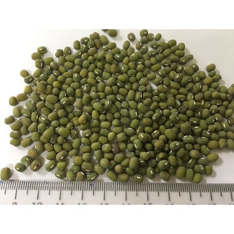 Buy Premium Grade Sun Dried Mung Beans Green Bean from Ecab Djupfryst ...