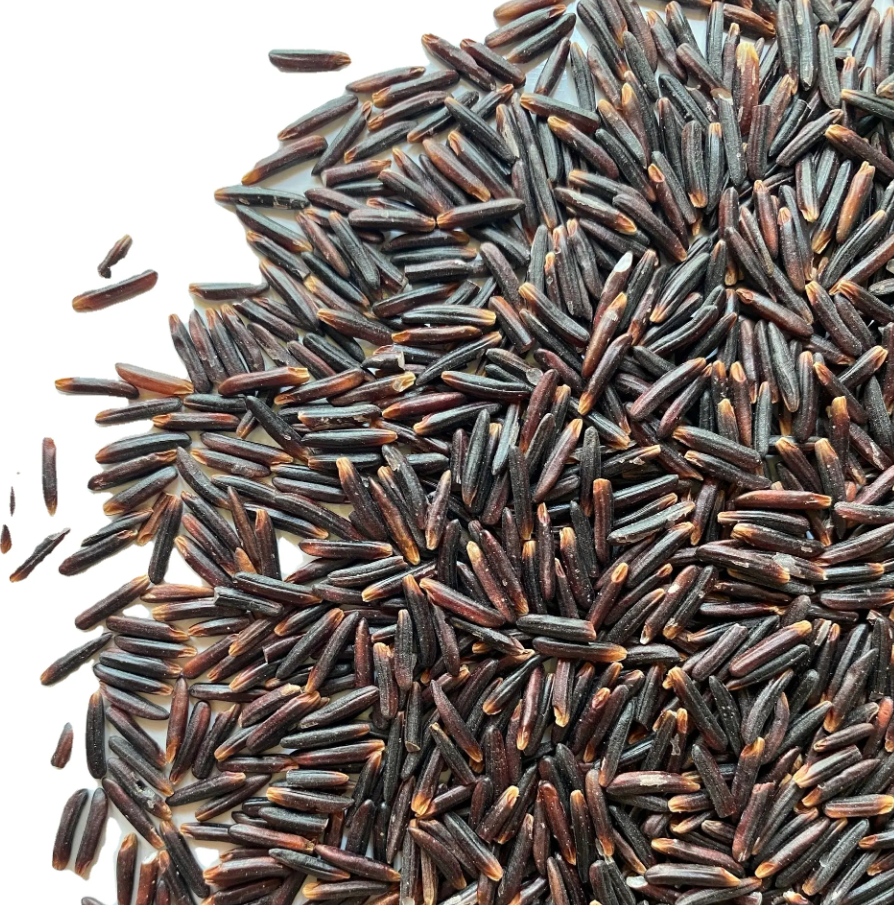 Buy Premium Quality Black Rice//sticky Rice// Glutinous Rice Bulk For ...