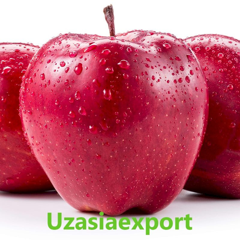 Buy Red Apple from IT EXPORT ASEAN LLC, Uzbekistan | Tradewheel.com