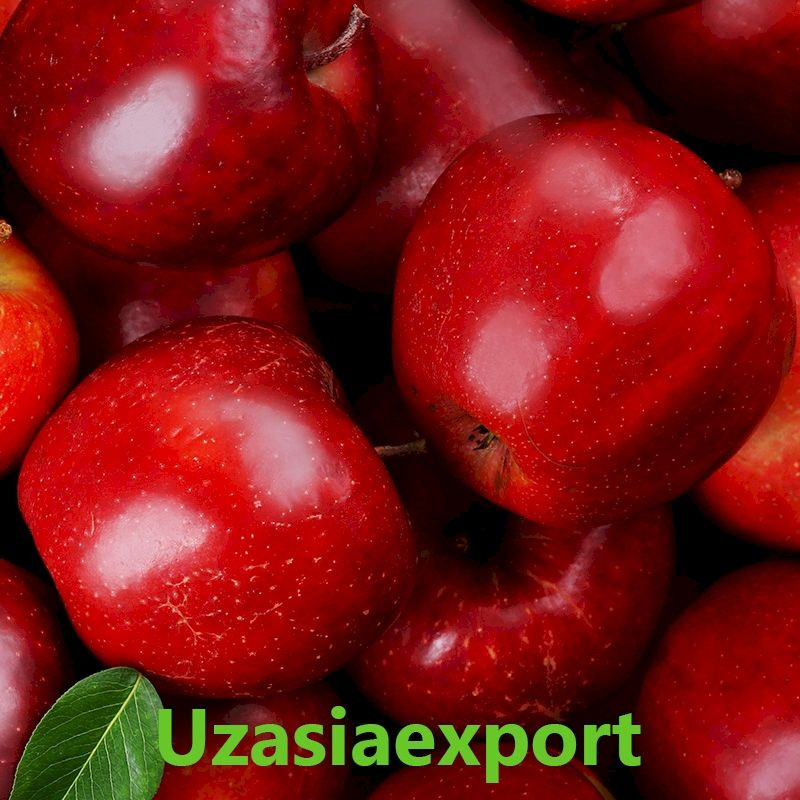 Buy Red Apple from IT EXPORT ASEAN LLC, Uzbekistan | Tradewheel.com