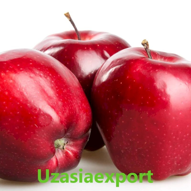 Buy Red Apple from IT EXPORT ASEAN LLC, Uzbekistan | Tradewheel.com