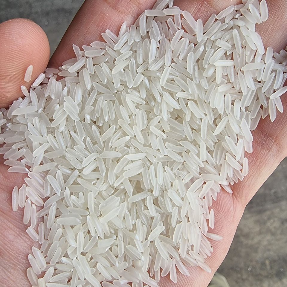 Buy Long Grain White Rice St24 Rice Bulk Sale High Benefits Using For ...
