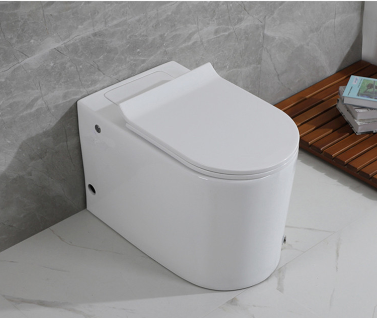 Buy 2020 Amaze New Design Sanitary Ware Ceramic Wc Toilet Without Tank ...