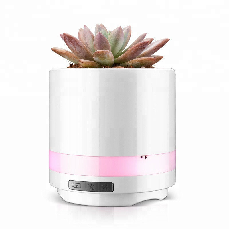 Buy Colorful Light Gadget Smart Music Flower Pot Intelligent Sensor ...