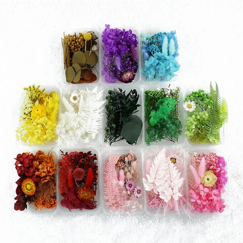 Buy Natural Mixed Material Pack Real Dry Pressed Flowers And Dried ...