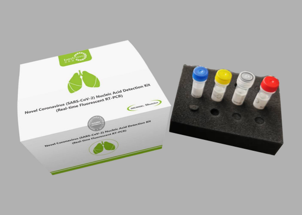 Buy Novel Coronavirus (sars-cov-2) Nucleic Acid Detection Kit (real time Fluorescent Rt-pcr ...