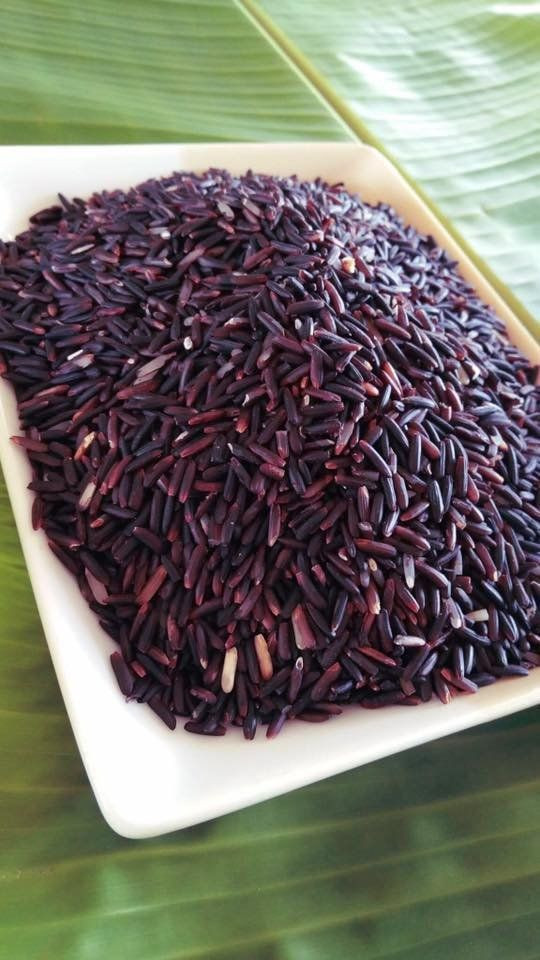 Buy Black Rice Berry from Black Rice Thailand - Company, Thailand ...