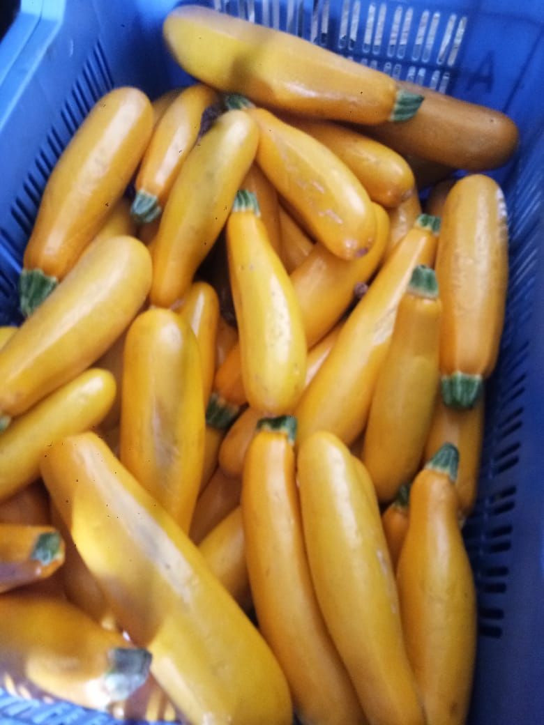 Buy All Types Of Exotic Vegetables from Vinayaka Fresh Farm, India ...