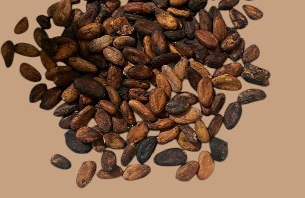 Buy Organic Certified Cocoa Beans Forastero from Woatome Micro ...