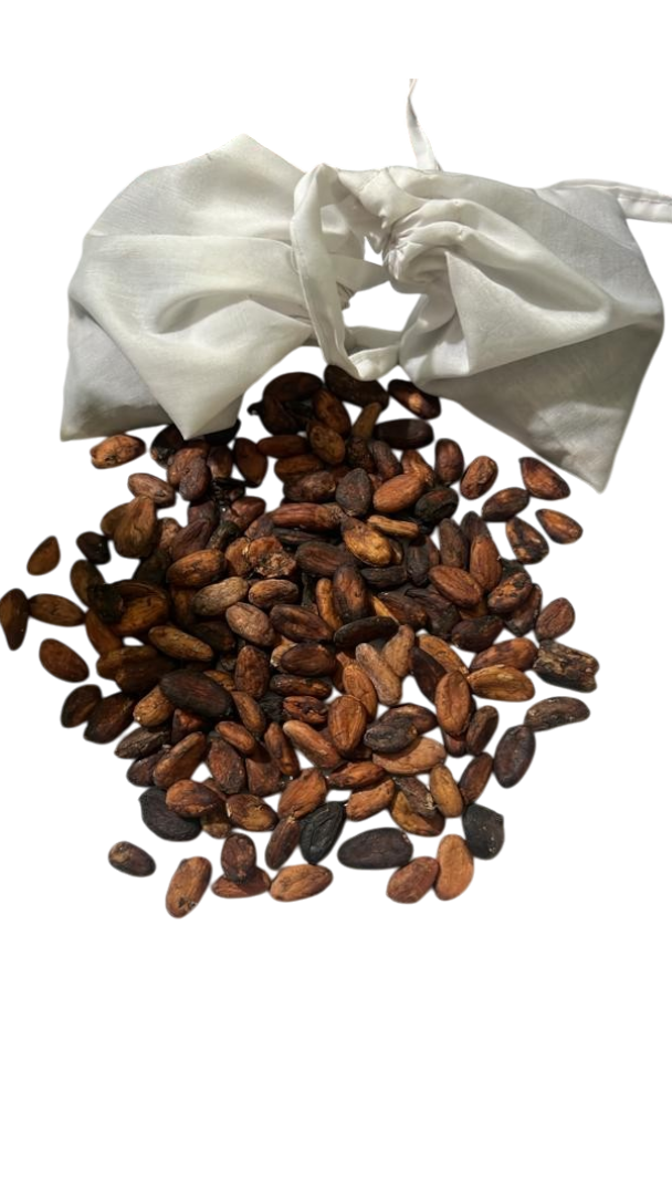 Buy Organic Certified Cocoa Beans Forastero from Woatome Micro ...