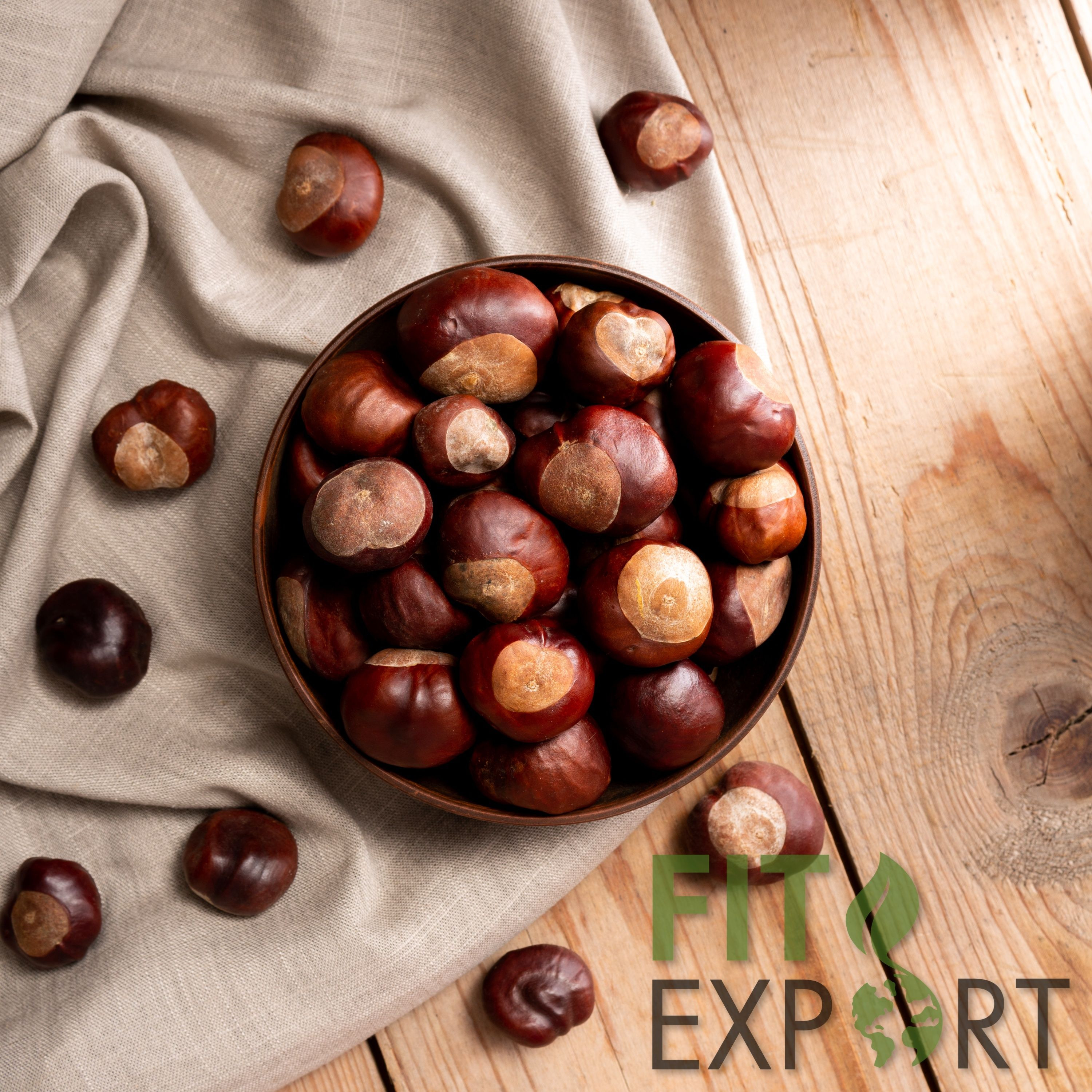 Buy Dried Horse Chestnut, Aesculus Hippocastanum, Buck-eye Fruit, Flower from Fito-Export ...