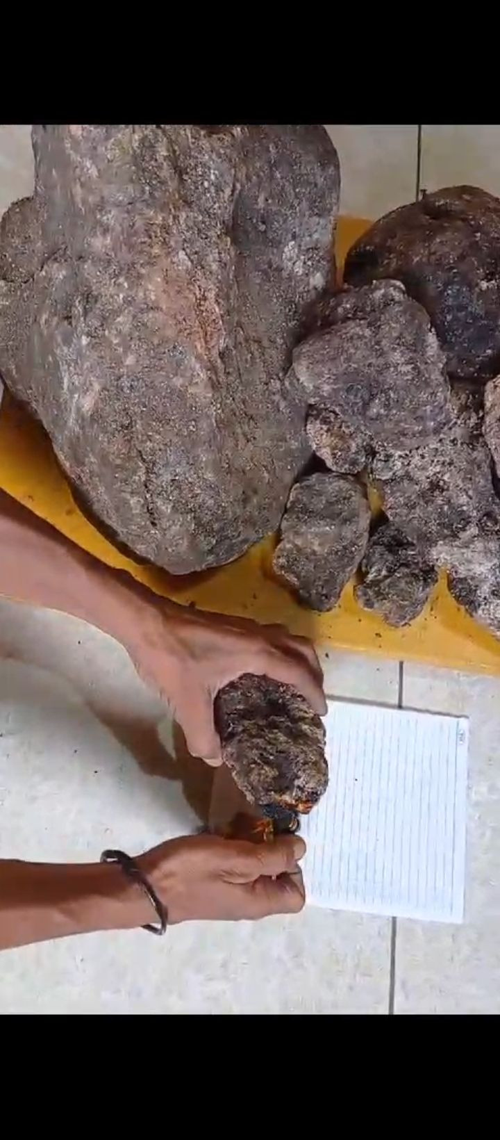 Buy Ambergris (14 Kg) - Natural, Hard Waxy - Lab Certified from I.Q ...