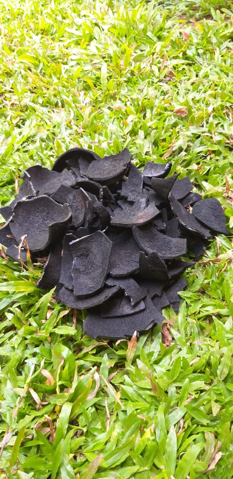 Buy Coconut Shell Charcole from V&B coco, Sri Lanka | Tradewheel.com
