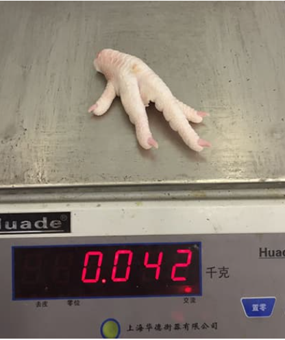 Buy Frozen Chicken Paw from Brasilsulex Export & Import, Brazil ...