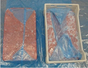 Buy 2019 Mdm Mechanically Deboned Chicken from GLO TRADEMARK TRADING ...