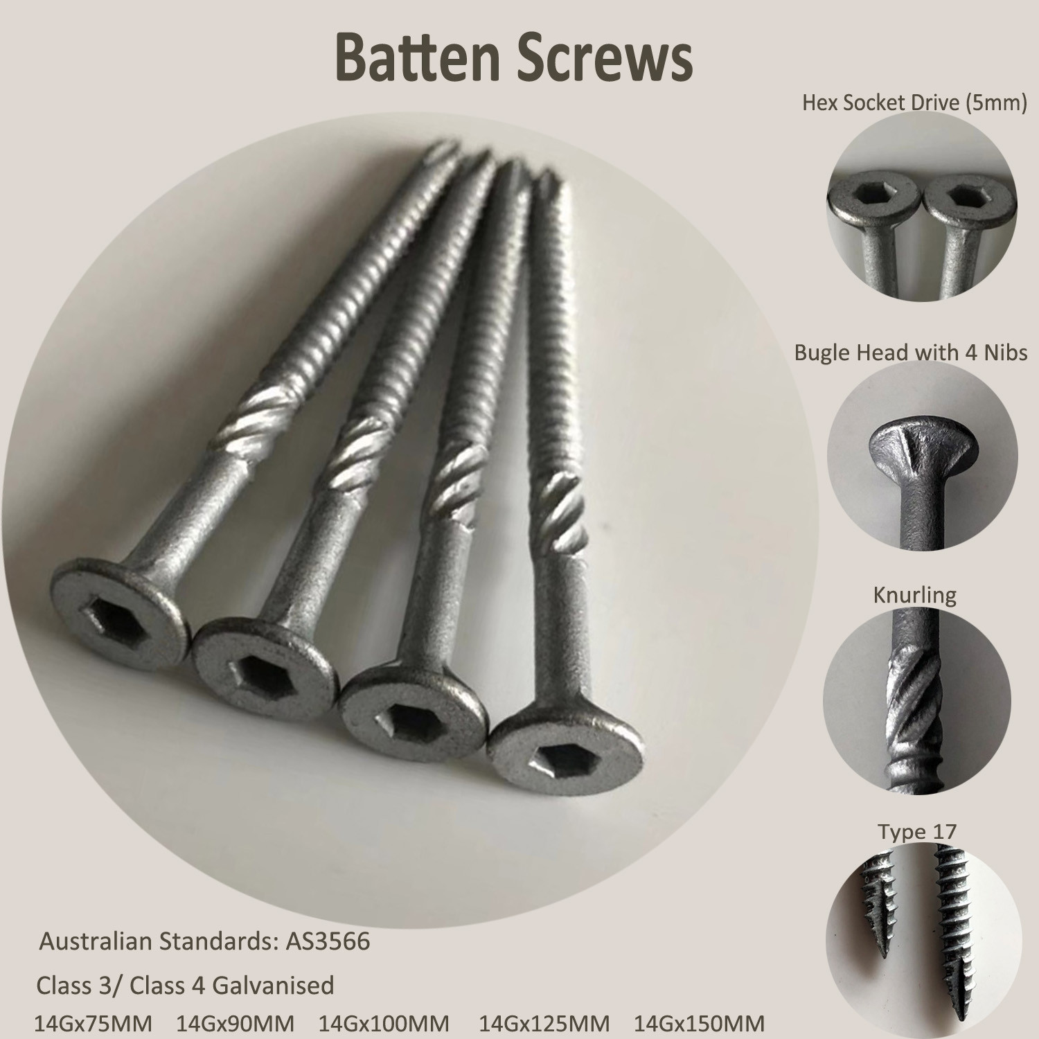 Buy Bulge Batten Screws 14g, Galvanised Class 4, As 3566 Standard ...