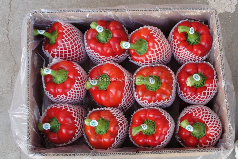 Buy Chinese New Crop Fresh Red Capsicum from Shouguang Bilong Vegetable ...