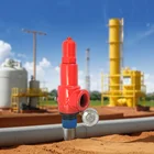 Buy Conventional Type Full Nozzle Pressure Safety Relief Valve Brass ...