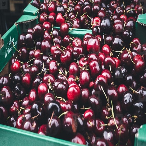 Buy Fresh Chery Fruit / Red Sweet Cherry from BIYA EXP AND IMP PTY LTD ...