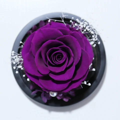 Buy Preserved Roses Handmade Forever Rose Flower In Glass Dome With ...