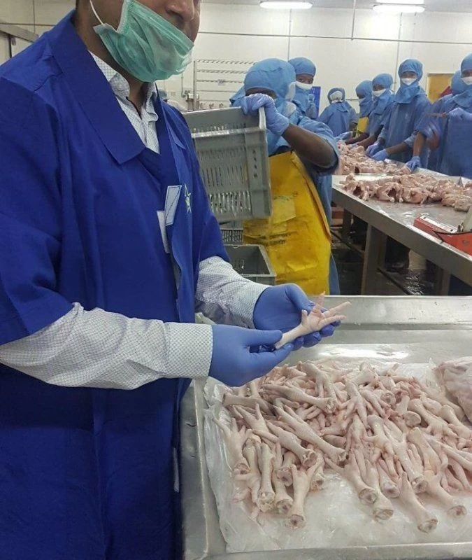 Buy Frozen Grade A Chicken Feet, Chicken Paw from JBS (SEARA) SA ...