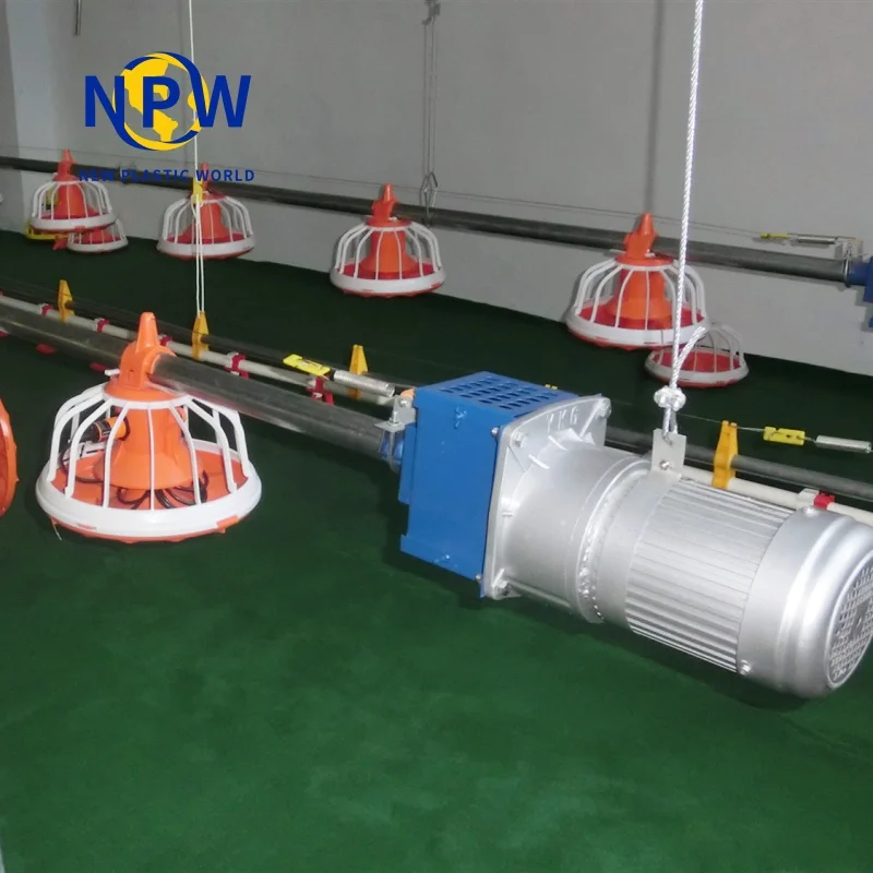 Buy Automatic Chicken Feed Pan System - Poultry Feeding Equipment With ...