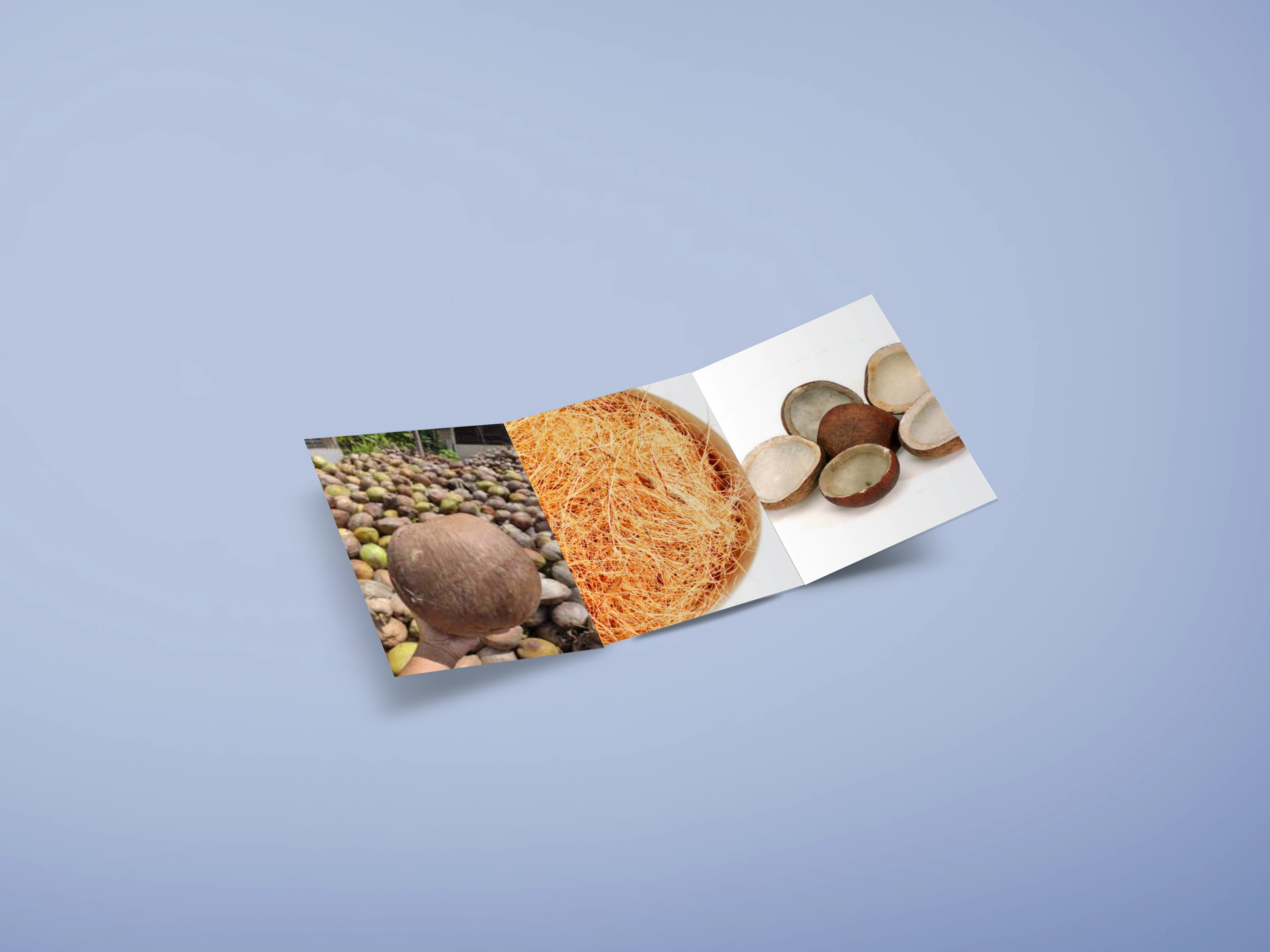 Buy Coco Fiber from AHR Group, Indonesia | Tradewheel.com