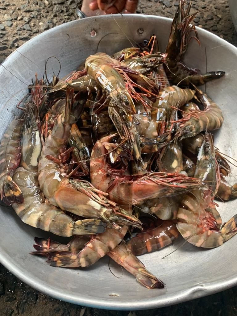 Buy Prawns/ Tiger (jumbo) Prawns from Fins and Feathers Ghana Ltd ...