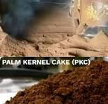 Buy Palm Kernel Cake from Veecom Ghana Limited, Ghana | Tradewheel.com