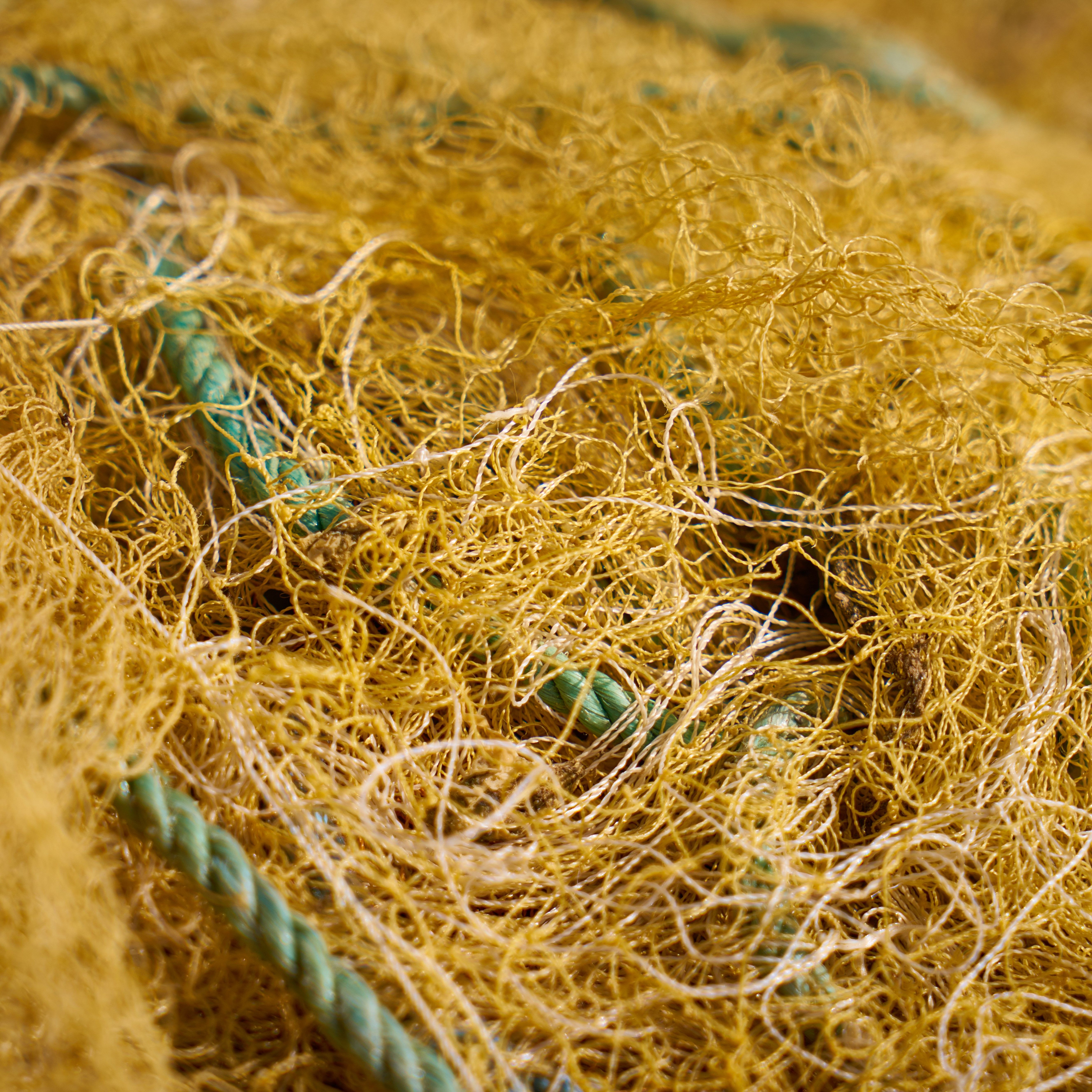 Buy Coco Peat / Coco Fiber / Coir Fiber - High Quality from Pinator ...