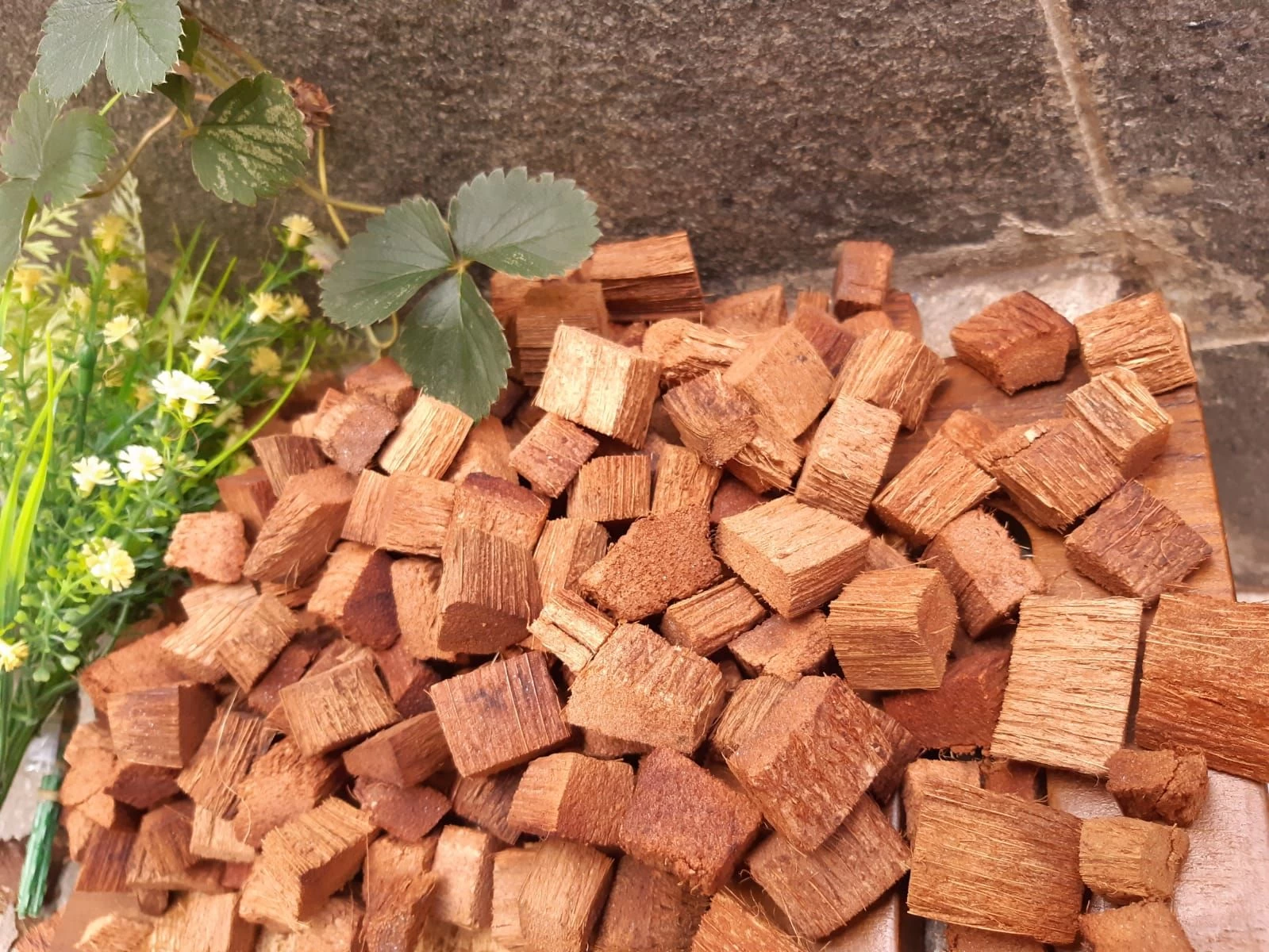 Buy Coco Chips from Cocosimple, Indonesia | Tradewheel.com