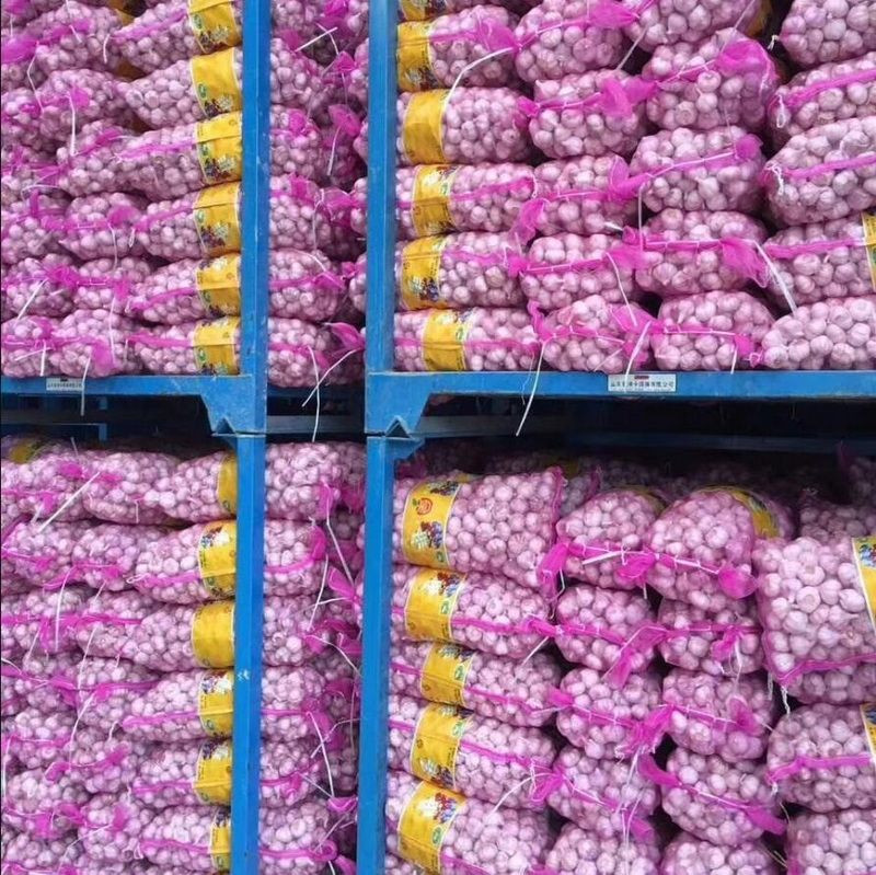 Buy Fresh Pure Normal White Garlic from Markco Polo Enterprise Pty Ltd ...