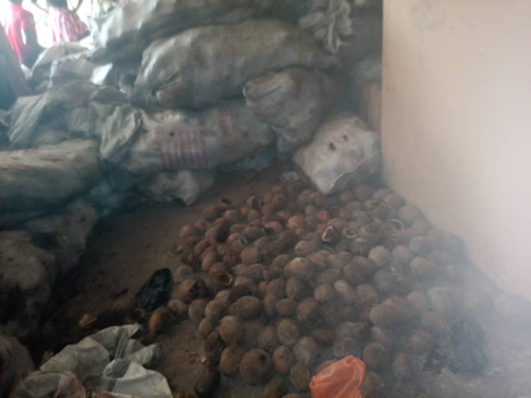 Buy Coconut Shells And Palm Kernel Shells from Manual Enterprise, Ghana ...