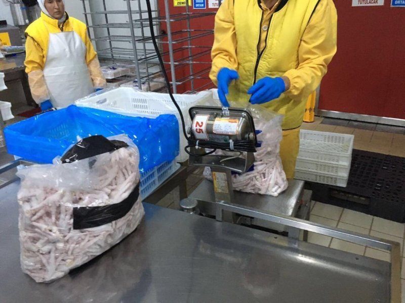 Buy Frozen Grade A Chicken Feet, Chicken Paw from JBS (SEARA) SA ...