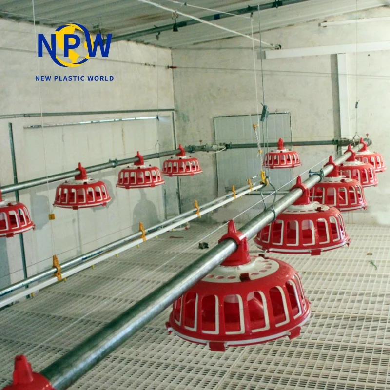 Buy Automatic Chicken Feed Pan System - Poultry Feeding Equipment With ...