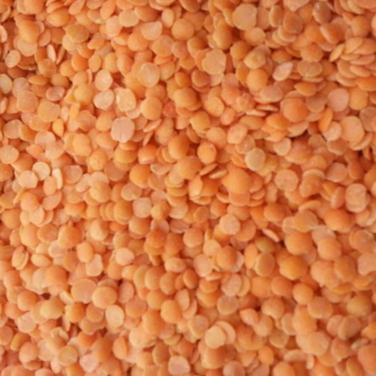 Buy Red Lentils from Aston Pharma LTD, Canada | Tradewheel.com
