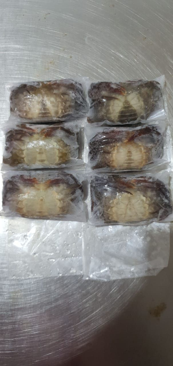 Buy Soft Shell Crab from PT. Langkat Laut Timur, Indonesia | Tradewheel.com Buy Soft Shell Crab from PT. Langkat Laut Timur, Indonesia | Tradewheel.com