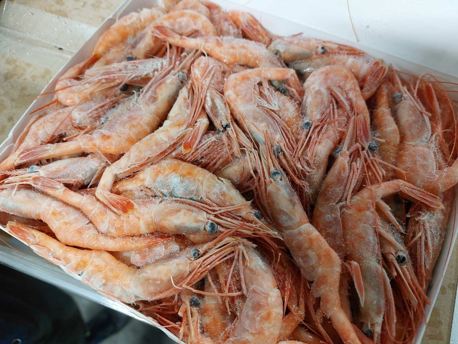 Buy Frozen Raw Prawn from Dynamic Trading Co., Ltd, South Korea ...