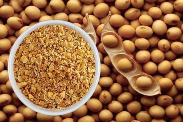 Buy Top-grade Soybean Meal Powder For Cattle, Poultry, And Aquaculture ...