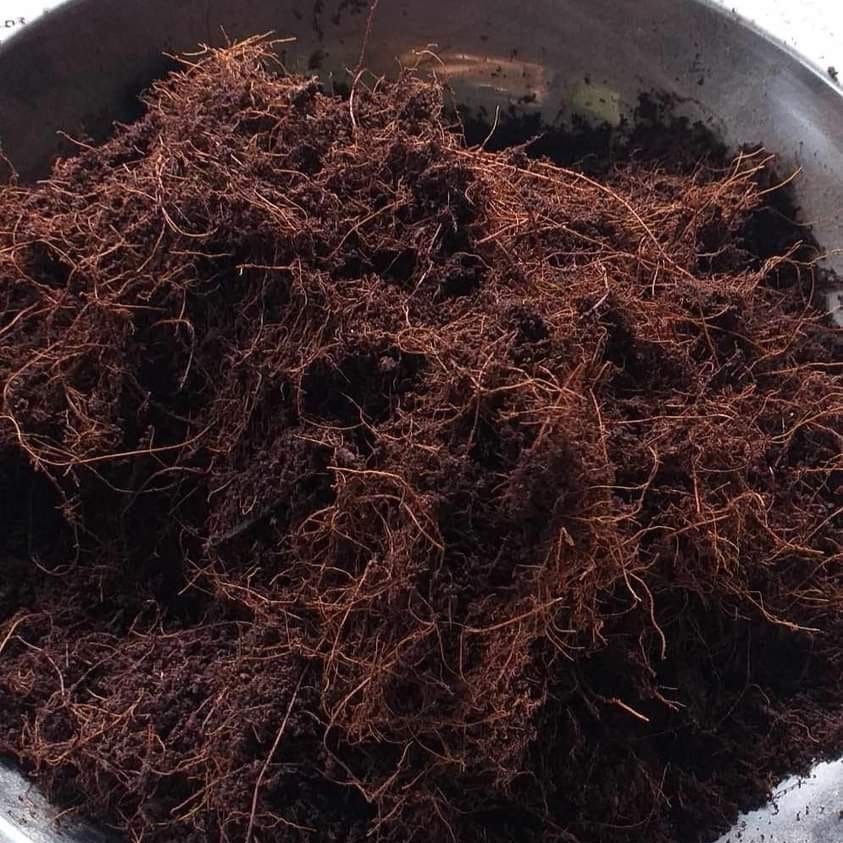 Buy Coco Peat / Coco Fiber / Coir Fiber - High Quality from Pinator ...