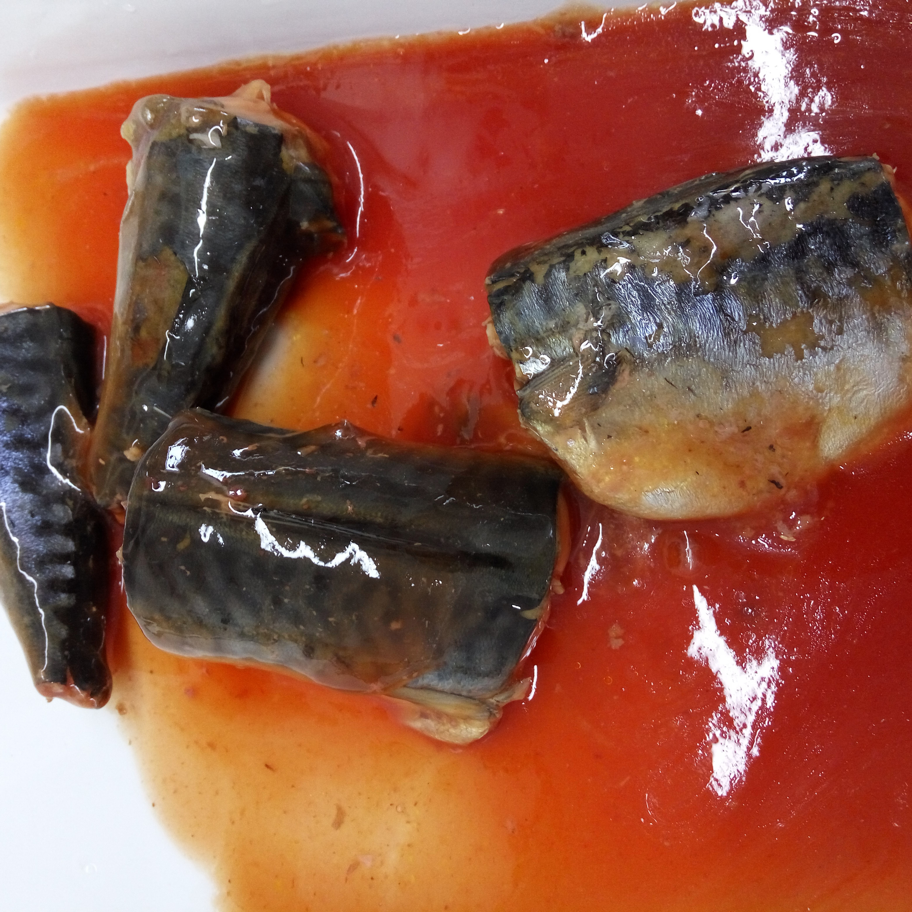 Buy Chinese Canned Mackerel Tin Fish In Can With Tomato Sauce, Canned ...