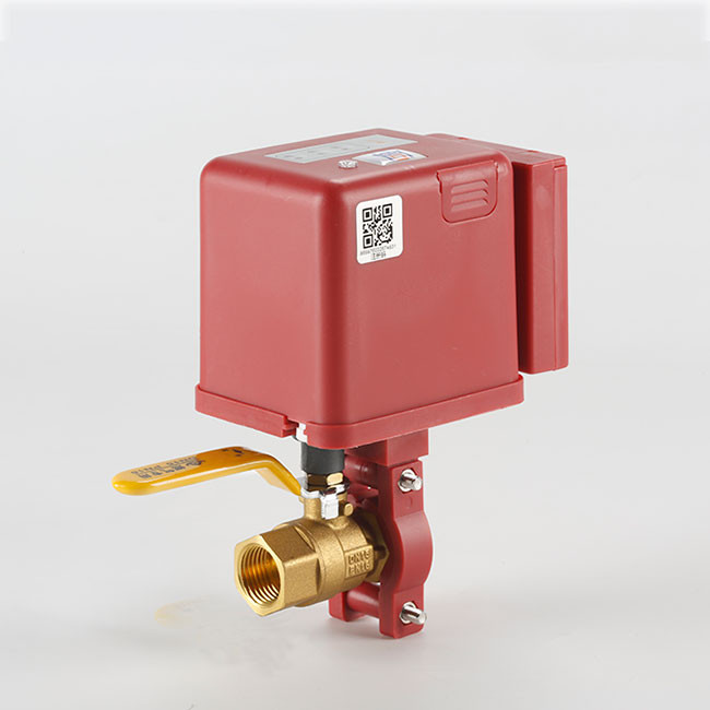 Buy Combined Intelligent Gas Safety Valve from Zhejiang Yong Anjun ...