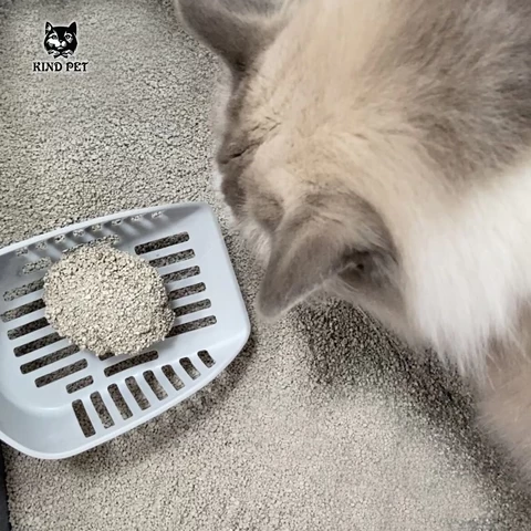 Buy Eco Clump Highly Absorption Hard Clumping Natural Cat Litter ...